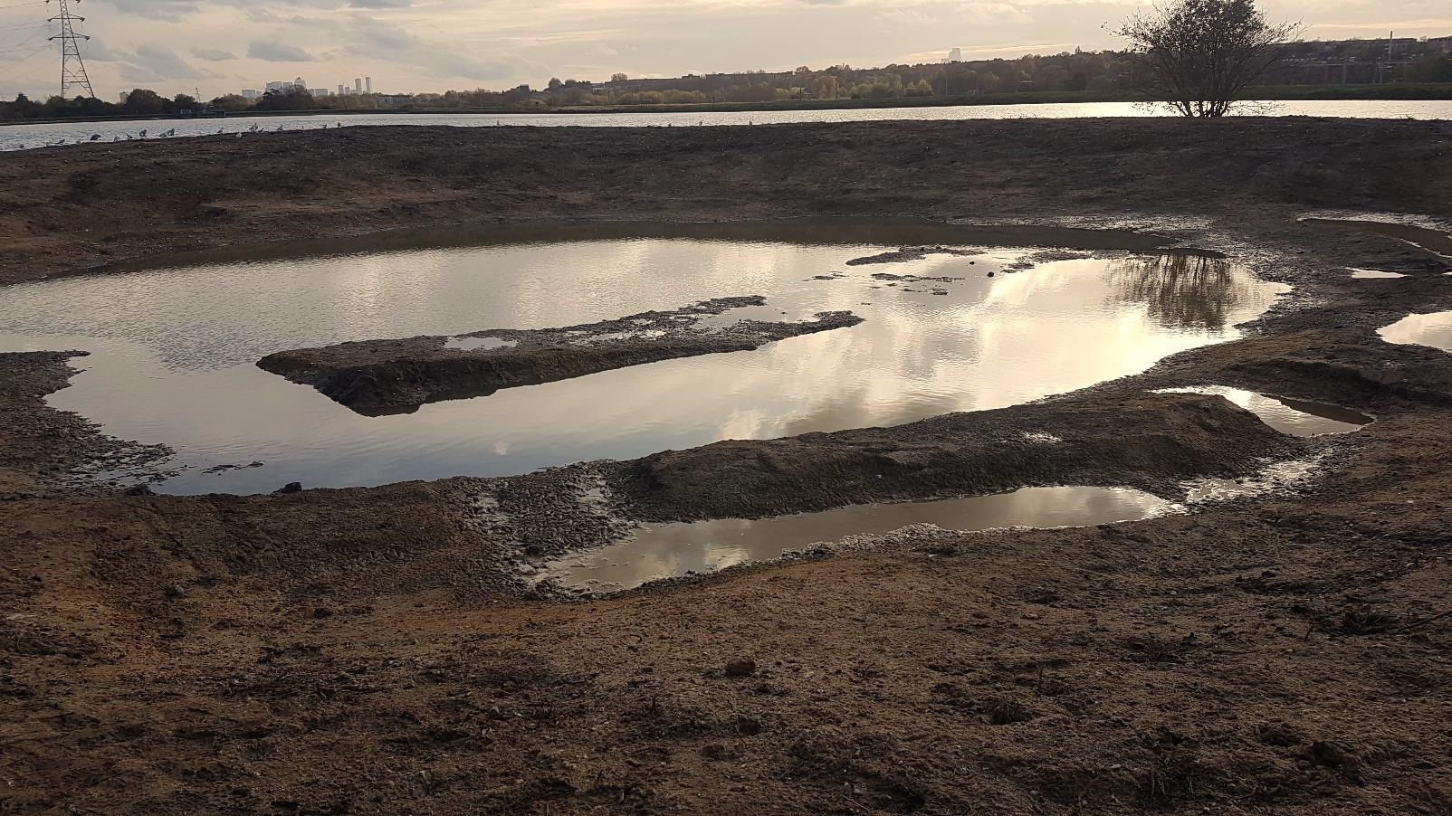 Walthamstow Island Scrapes | Aquatic Consultancy